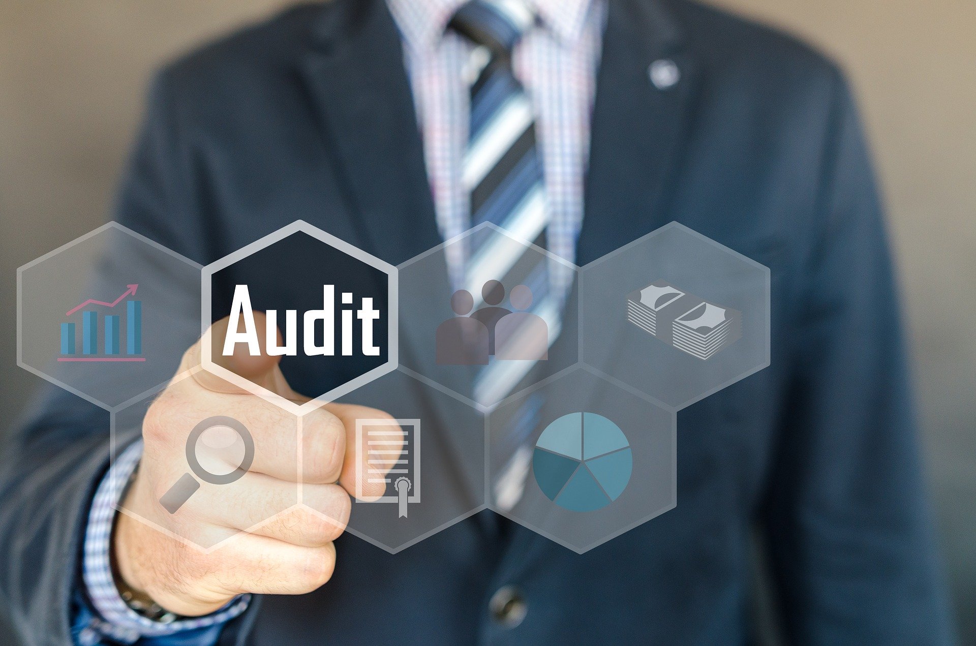 How much of a focus should software audits be for an ITAM manager in ...
